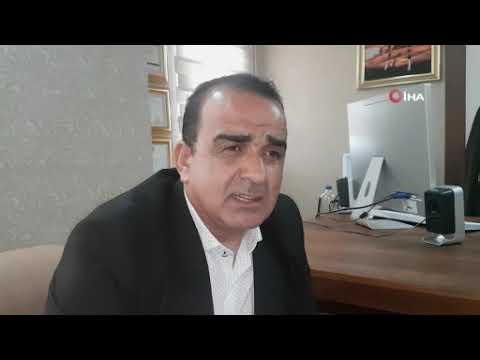 Derede domuz şoku