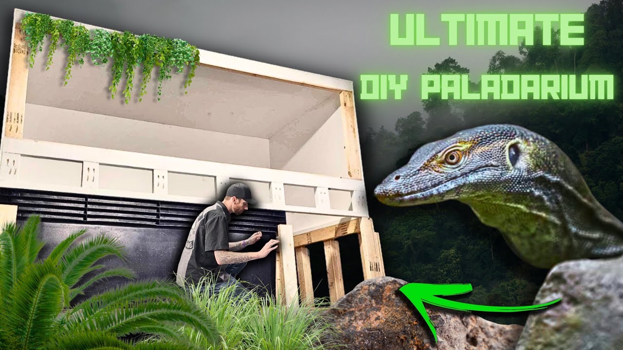 How To Build The Ultimate Paludarium. DIY Reptile Enclosure - YouTube