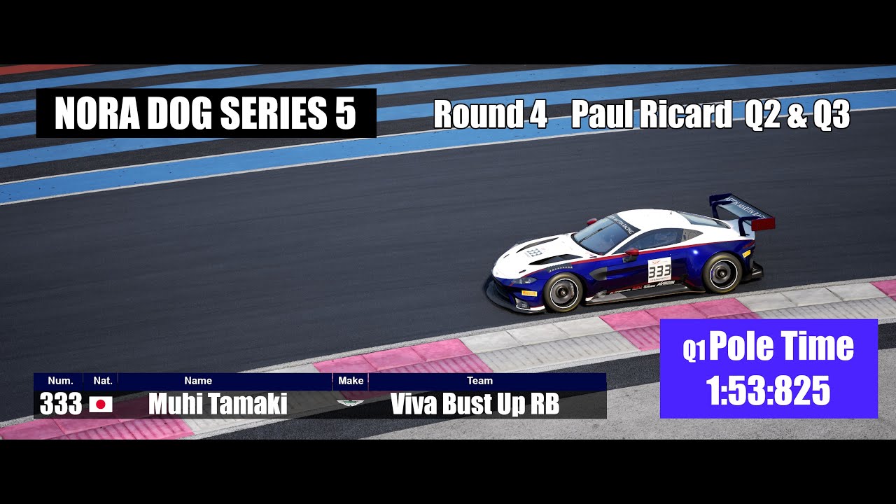 NORA DOG SERIES Round 4 Paul Ricard Q2 & Q3 - YouTube