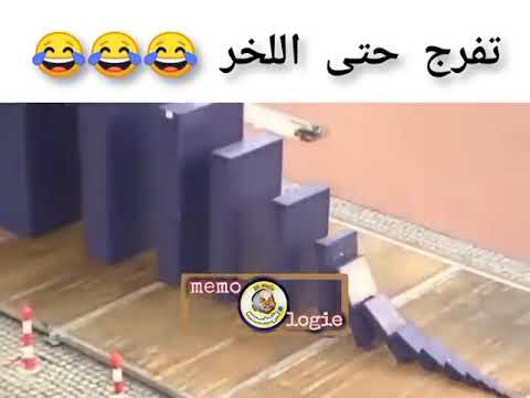 statut whatsapp 2021 dahk😂😂😂😂