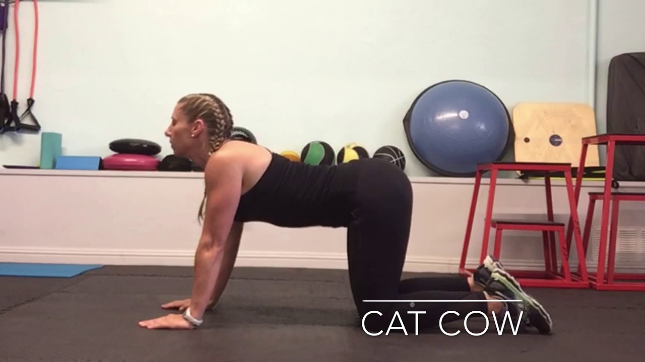 STRETCHING SUNDAY - Active Stretches to Warm Up your Back - YouTube
