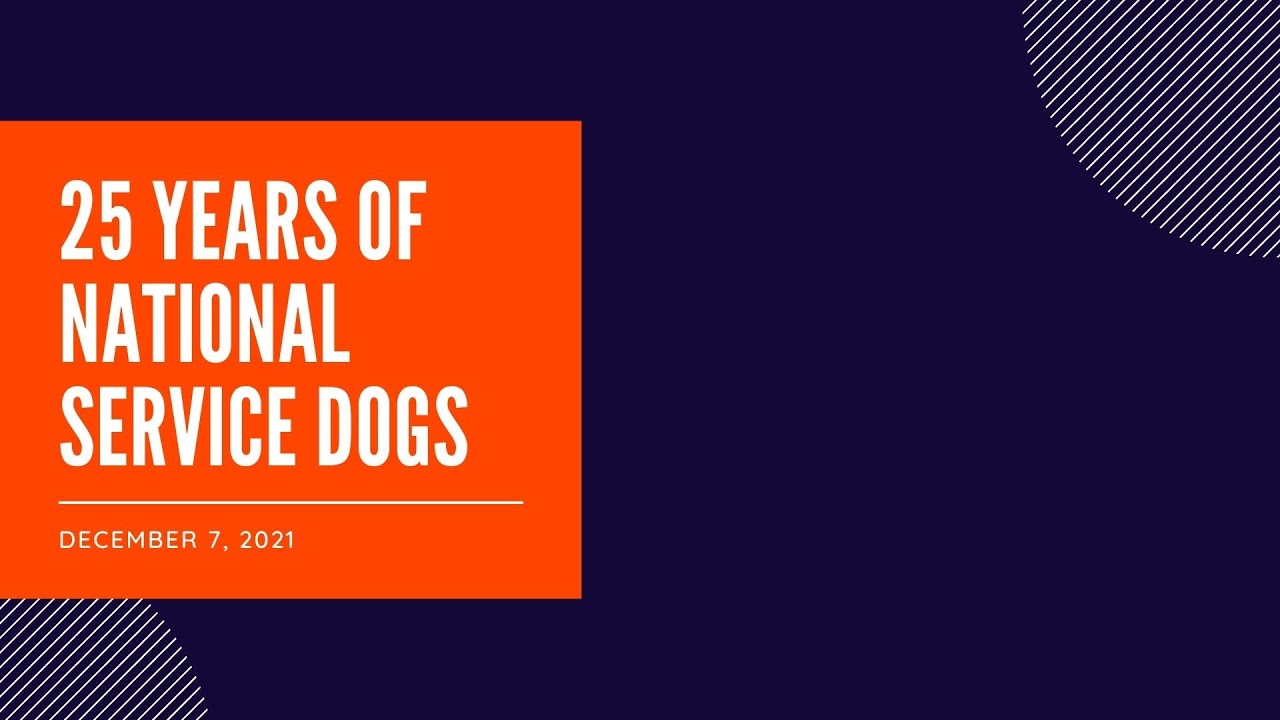 Knowledge Nibble: 25 Years of NSD - YouTube