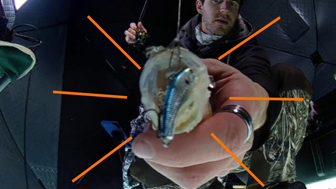 Showcase: Rapala Slab Rap - Jumbo Perch - YouTube