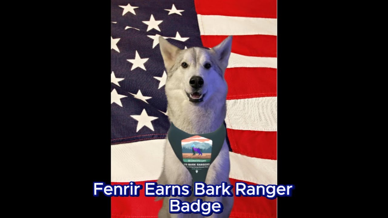 Bark Ranger badge # 2 - YouTube