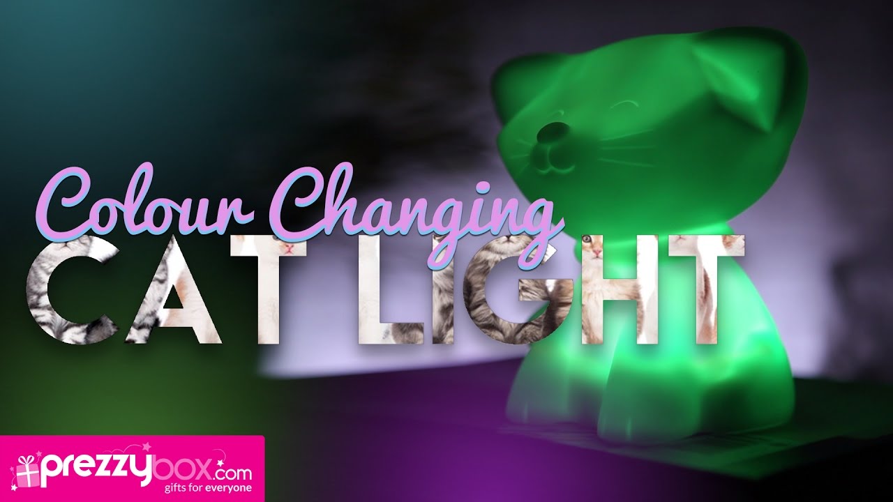 Cat Mood Light - The Puuurfect Way To Relax - YouTube