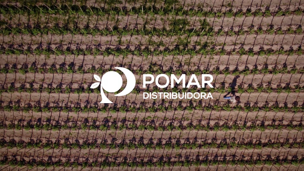 DISTRIBUIDORA POMAR | Vídeo Institucional - YouTube