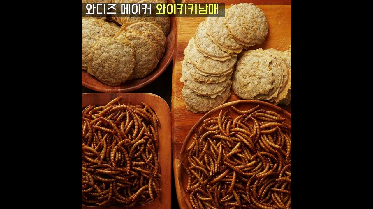 도전은 즐거워~ 와디즈 메이커와이키키남매 탄소중립 미래식량 곤충먹는아이들 Youtube