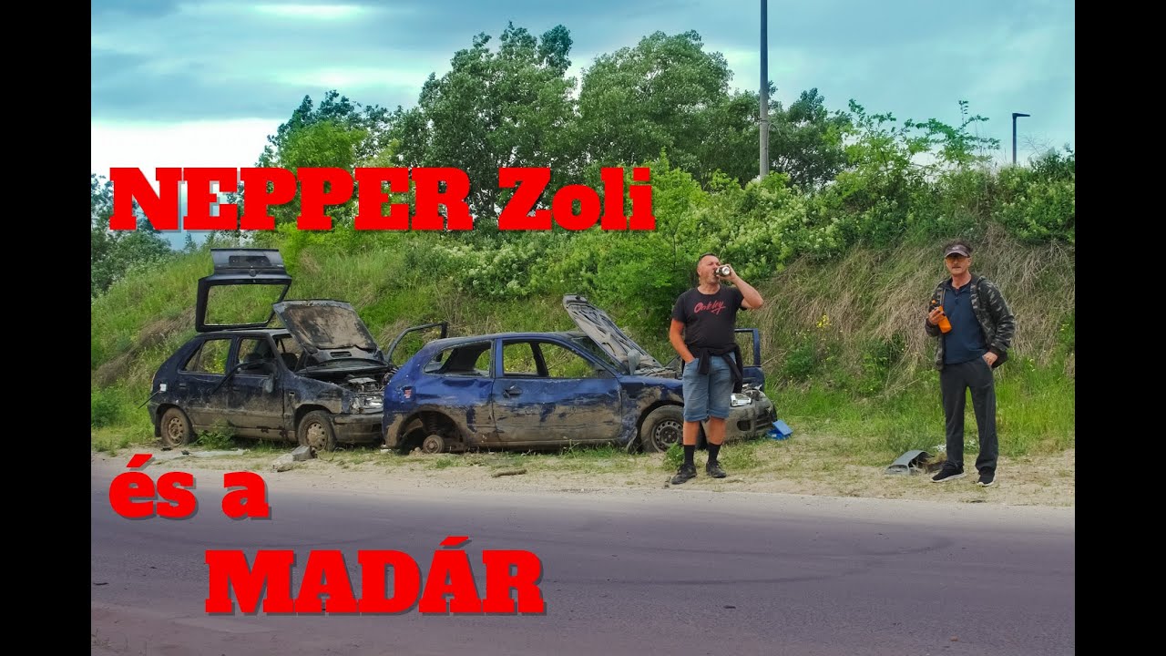 Nepper és a Madár - YouTube