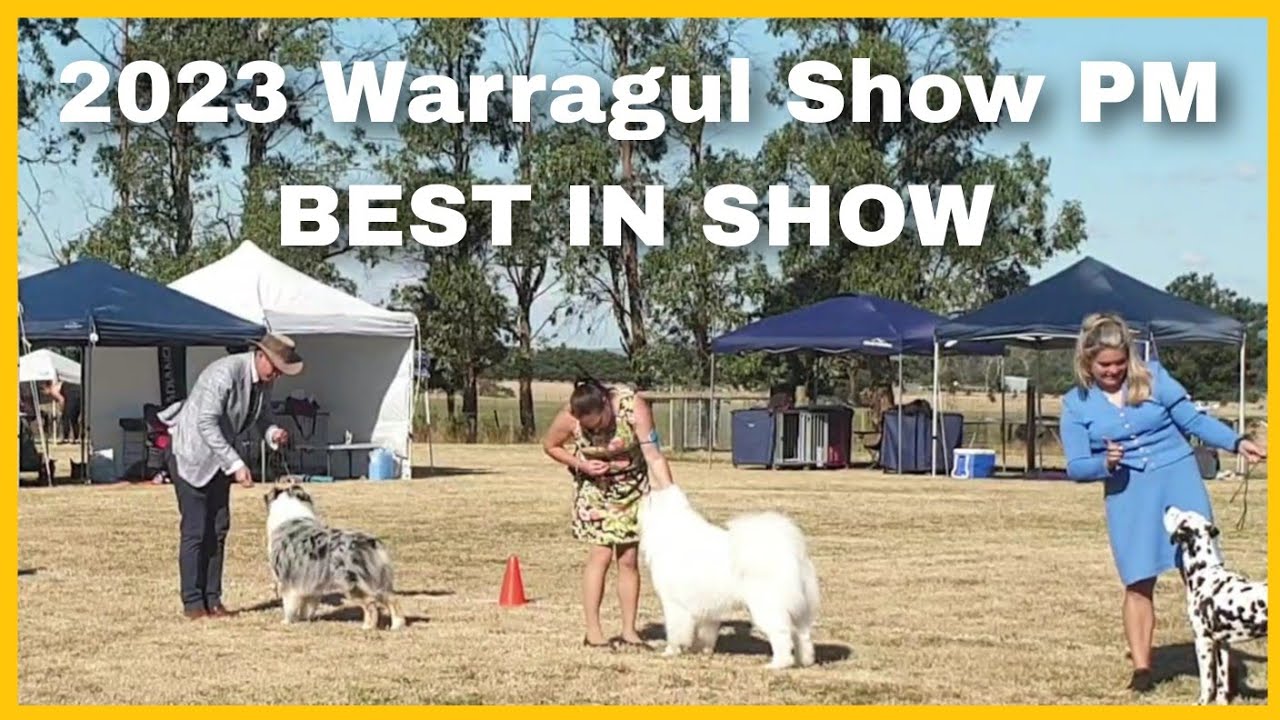 2023 Warragul Show PM - Best in Show - YouTube