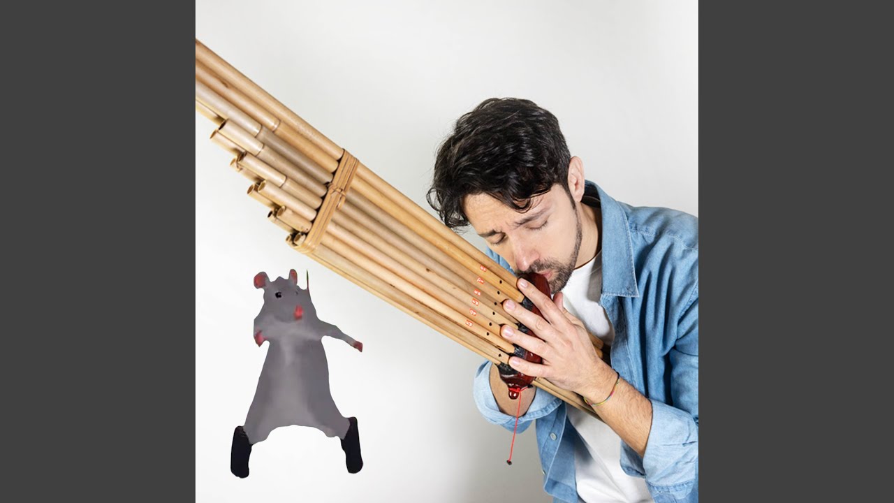 Viral Rat dance meme on cool instruments from around the world! - YouTube