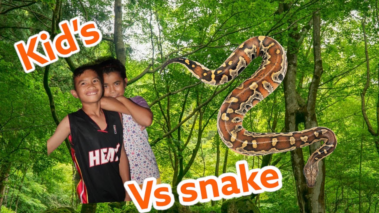 Two Kids Catching Venomous Snake - YouTube