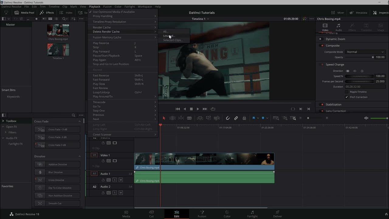 How to Delete the Render Cache in DaVinci Resolve in 12 Seconds - YouTube
