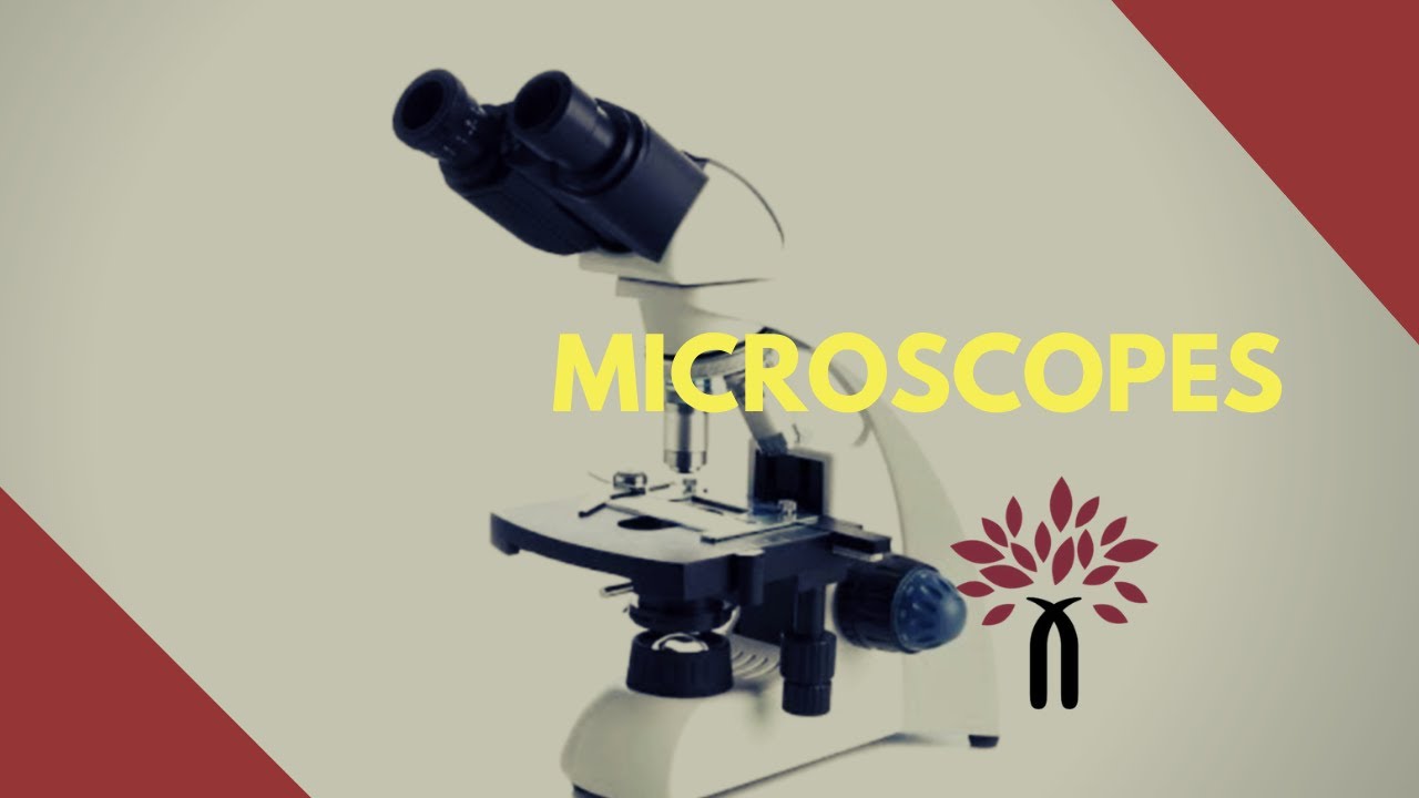 Biology 1st secondary Egypt | Development of microscopes | ARABIC - YouTube