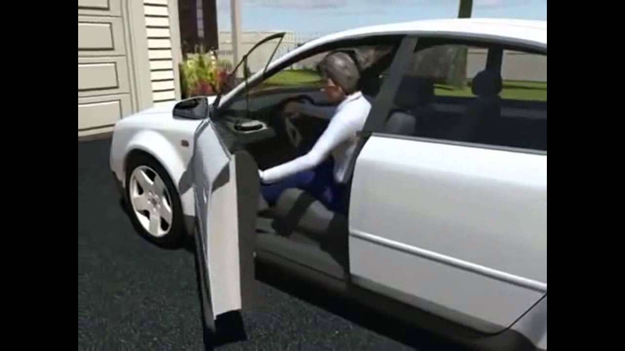 CAR CADDIE (An Extra Support Handle To Get In-And-Out Of The Car) at ...