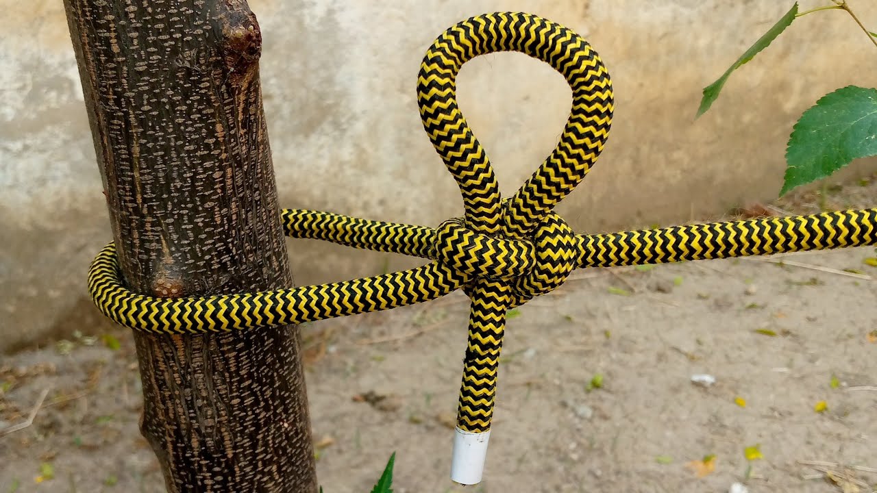 Best Knots For Camping! Rope Technique! Powerful Knot - YouTube