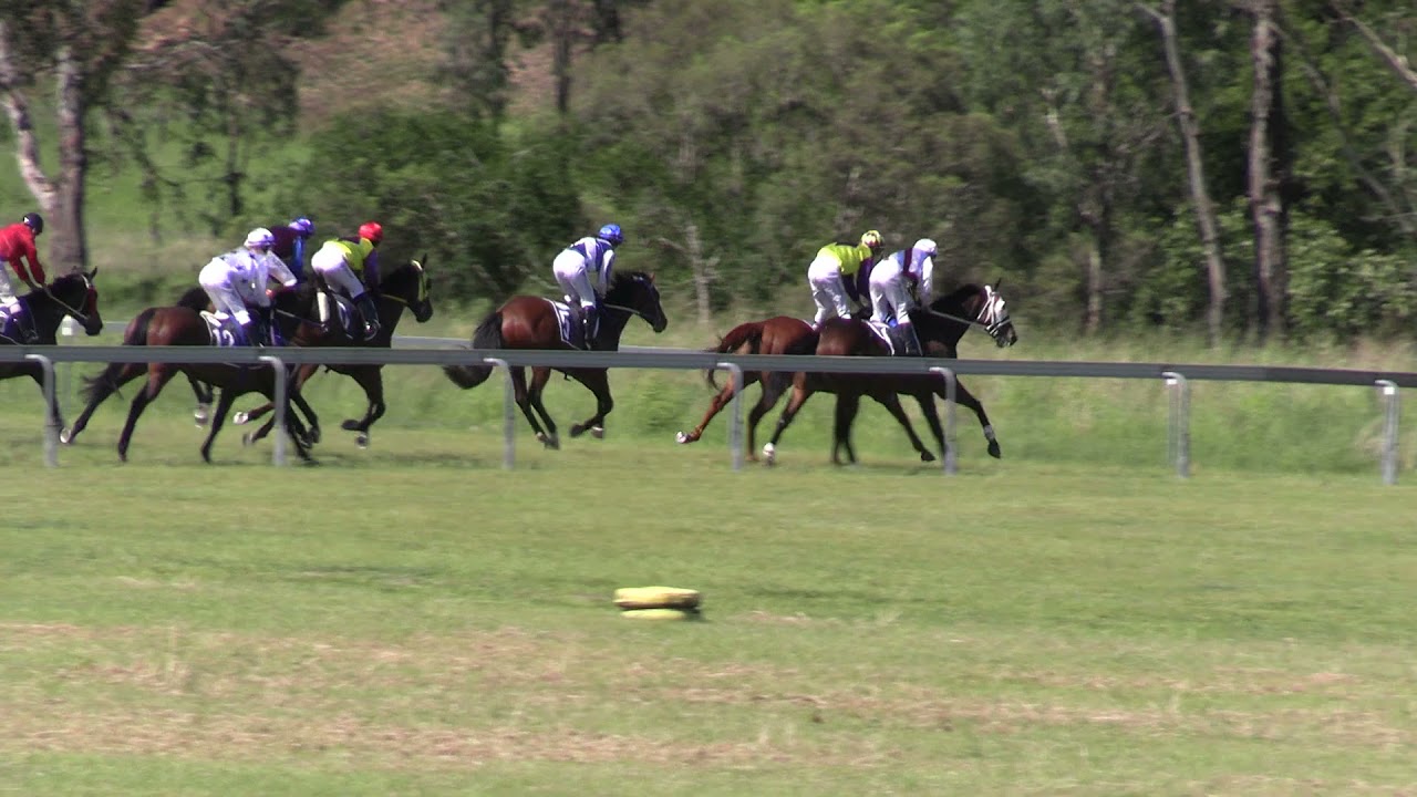 Mt Perry Race 5 - 14th November, 2021 - YouTube