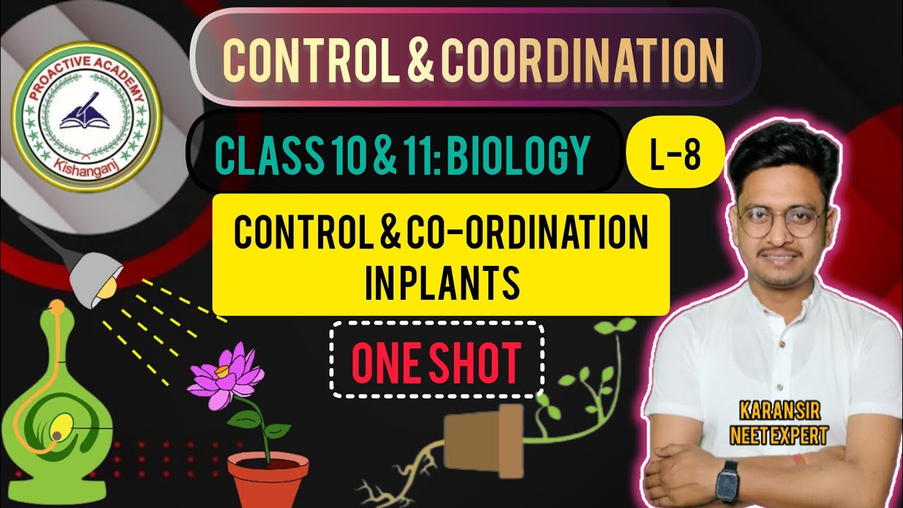 Control and Coordination in Plants ONE SHOT | Movements in Plants Class ...