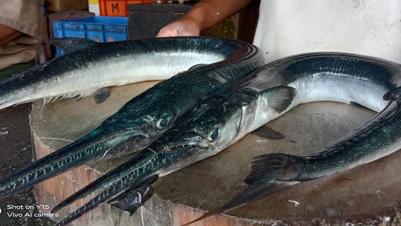 Mangalore port (dhakke) round konthi ( green kandai) slice pieces for ...