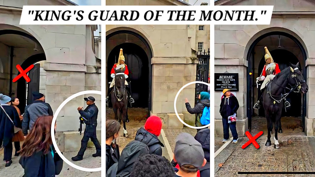 King's Guard Enforced the Rules and This Happened at Horse Guards Today ...