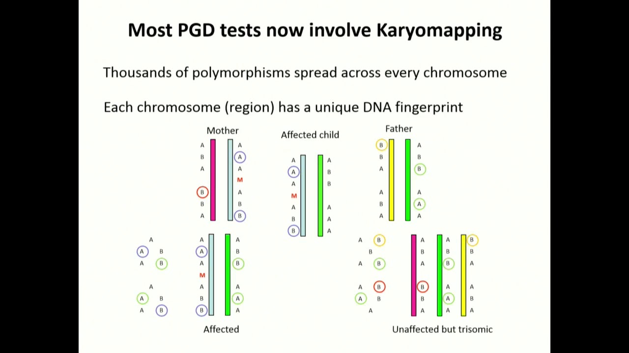 E10 1 Dagan Wells: Karyo - and Meio-mapping for human embryo selection ...