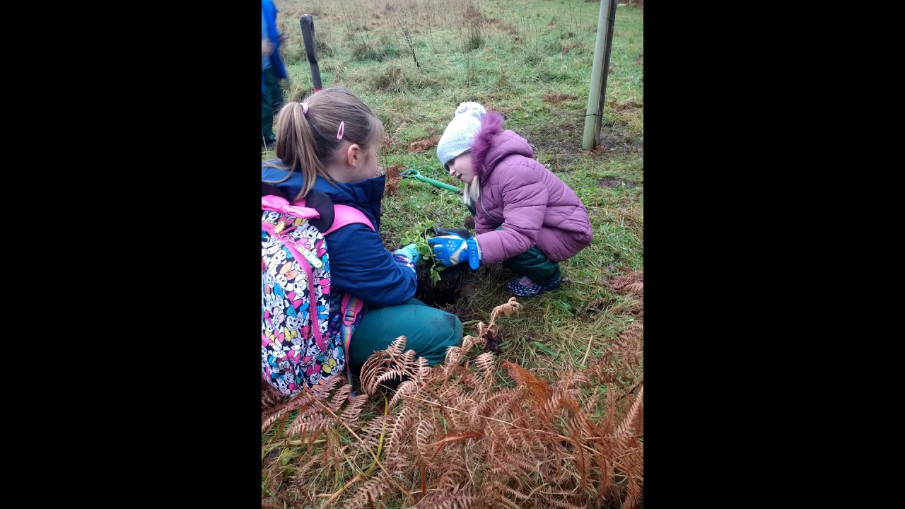 Tree Planting with Wild things! - YouTube
