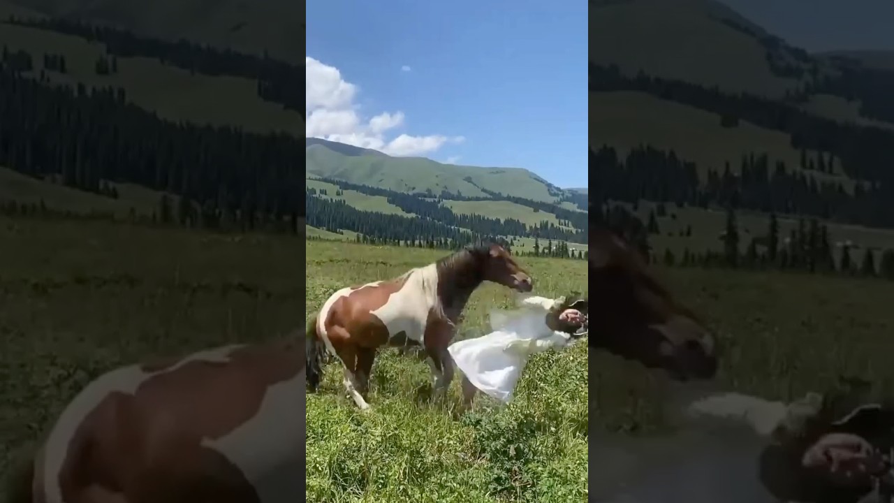 Out of control horse #horse #horseding #happyhorse #funny #funnyvideos ...