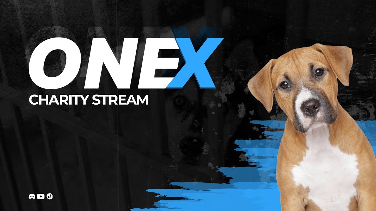 🔴 LIVE | ONEX.LT Charity Stream - YouTube