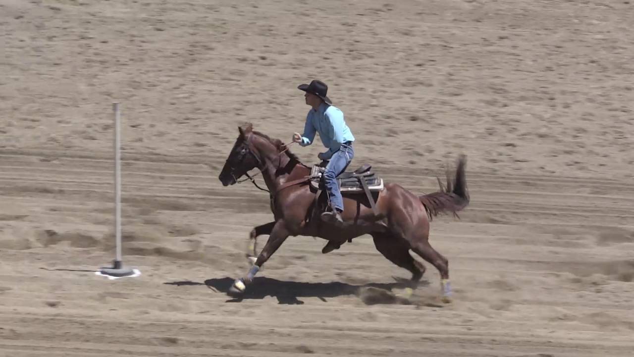 2016, Pole Bending, Rocky Mountain Regional Rodeo - YouTube