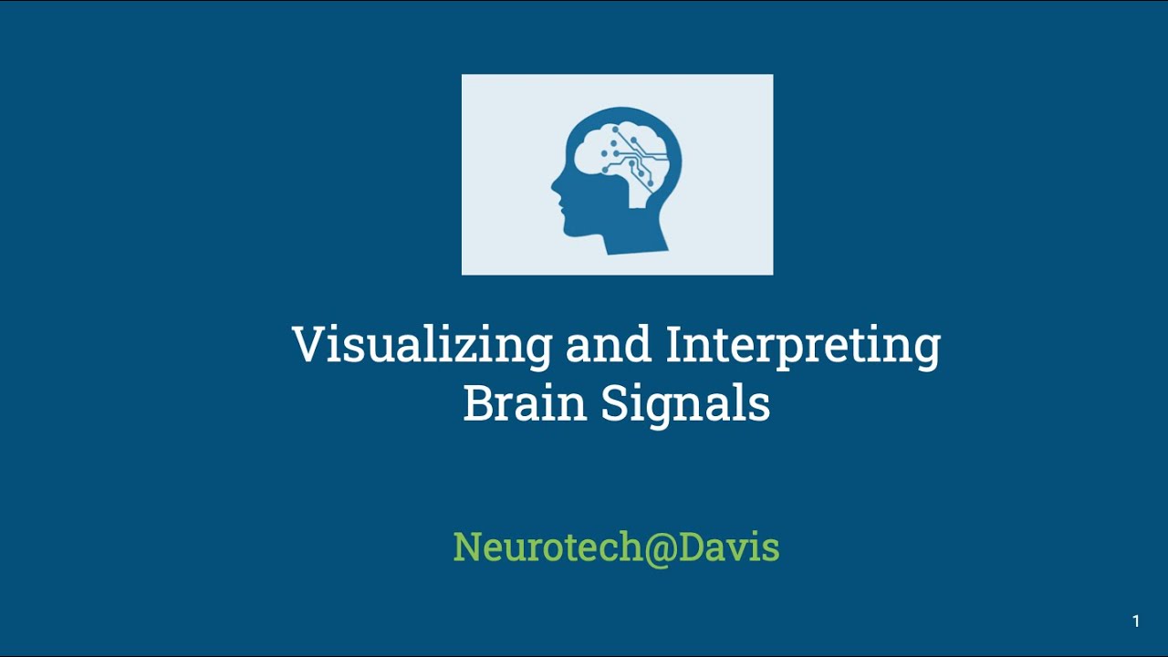 Module 1: Visualizing and Interpreting Brain Signals - YouTube