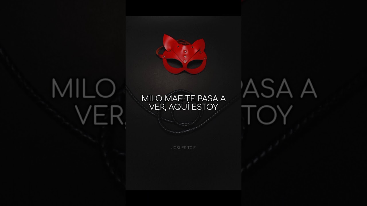 Tu Gato Bellaco - Milo Mae (Letra) - YouTube