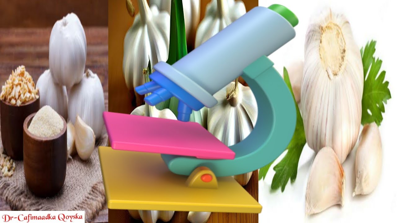 Waligaa Joojin Maysid Toonta Hadaad Ogaado SIRTAN 💪💚💙👍👆 - YouTube