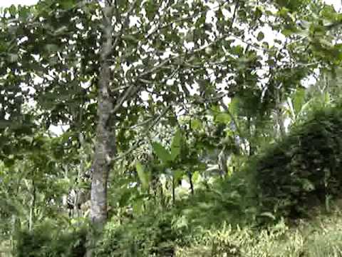 Buot Mo Ba - YouTube