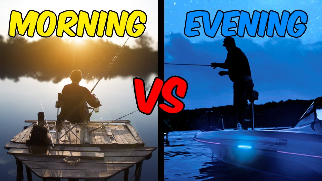 Cracking the Code: Morning vs. Evening Fishing—Which Reigns Supreme ...