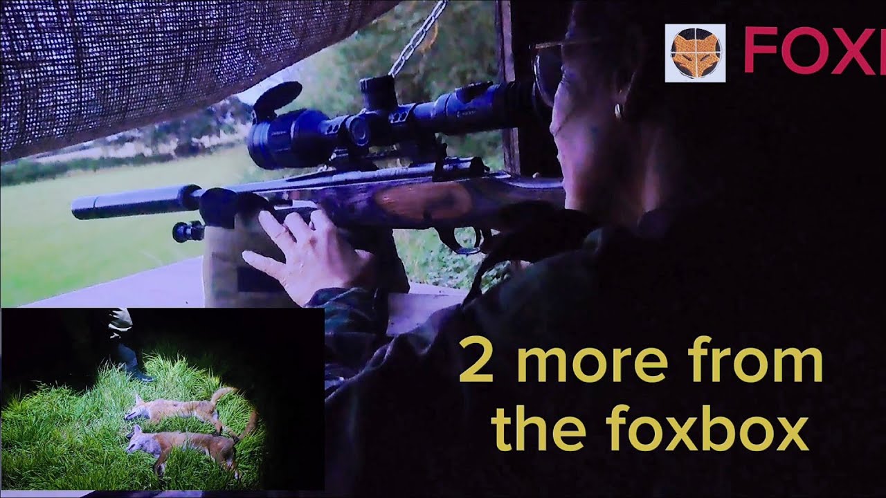 A SUCCESSFUL EVENING IN THE FOXBOX - YouTube