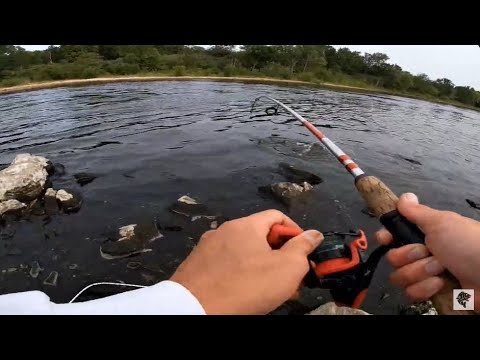 Line Screaming Action! Doesn't Get Better Than This! Illinois Fishing ...