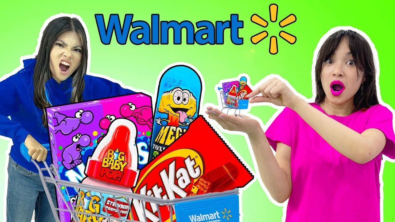 ZOEY & LILY BUILD THEIR OWN WALMART’S AT HOME TO MAKE THE WORLD’S MOST ...
