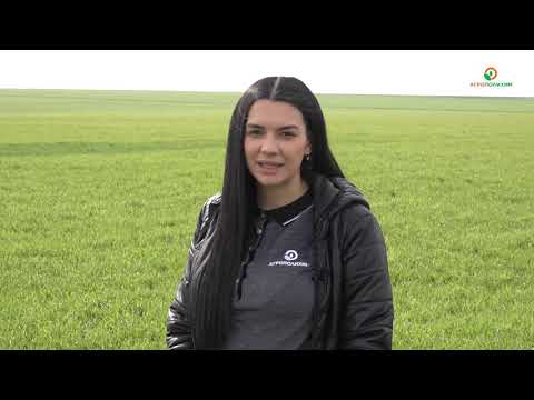 ТЕЧНИЯТ АЗОТЕН ТОР UAN СТИМУЛИРА ПРОЛЕТНОТО БРАТЕНЕ