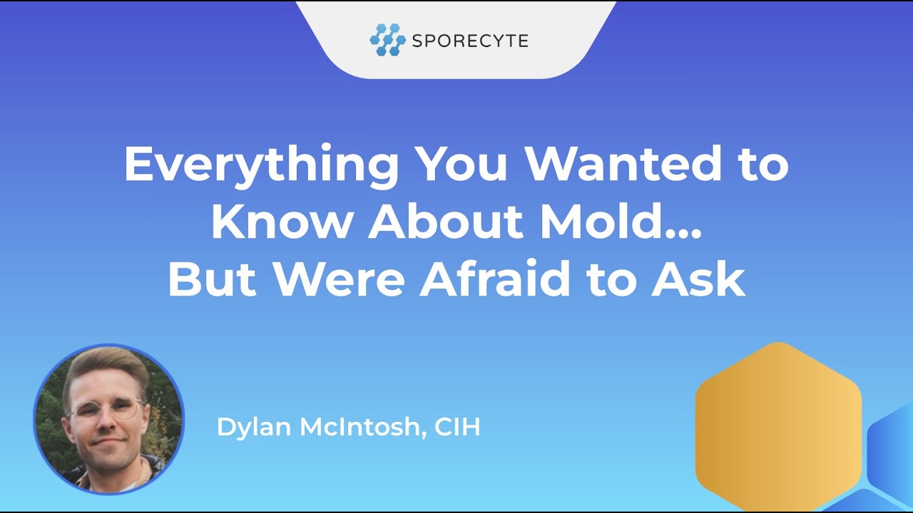 Everything You Wanted to Know About Mold... But Were Afraid to Ask ...