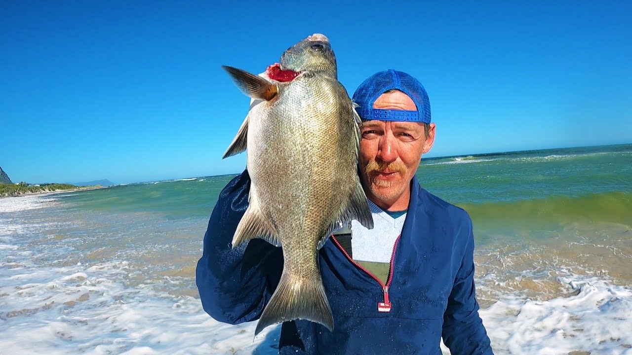 Catching CAPE STUMPNOSE, STEENBRAS and A Decent Size GALJOEN/Galjoen ...