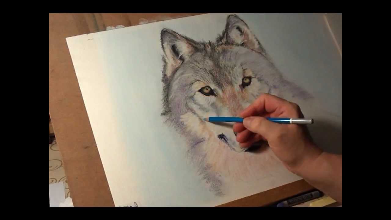 Fast drawing - Wolf in soft pastel.wmv - YouTube
