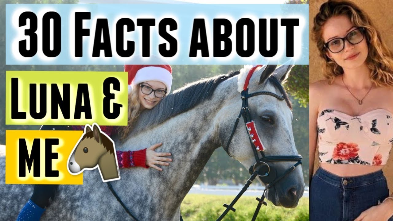 30 Facts About My Horse Me Ride Every Stride YouTube