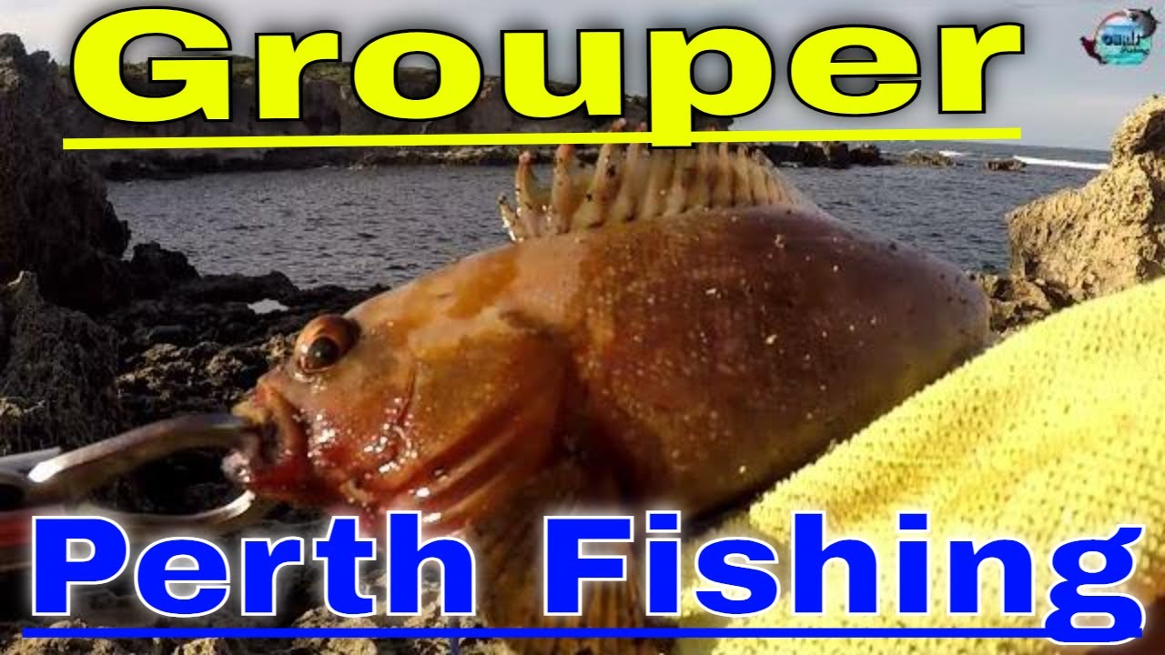 Fishing Western Australia | Cape Peron | Catching Grouper, Wrasse, King ...