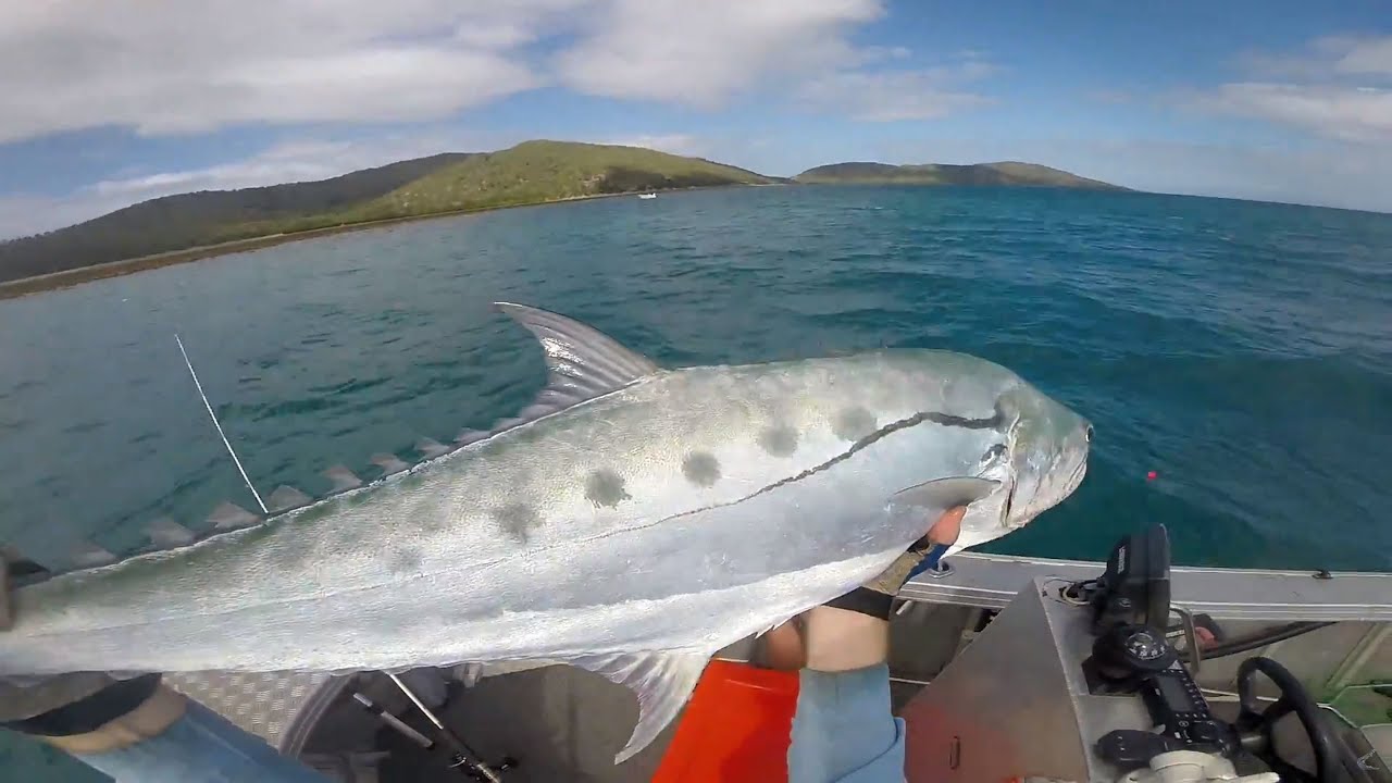 North Queensland Sport Fishing - YouTube