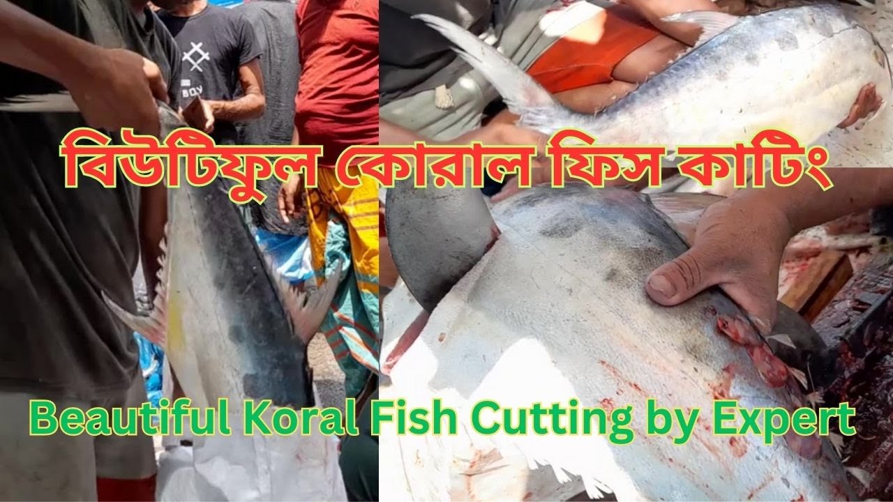 Beautiful Koral Fish Cutting by Expert I Koral Fish Cutting Expert I ...