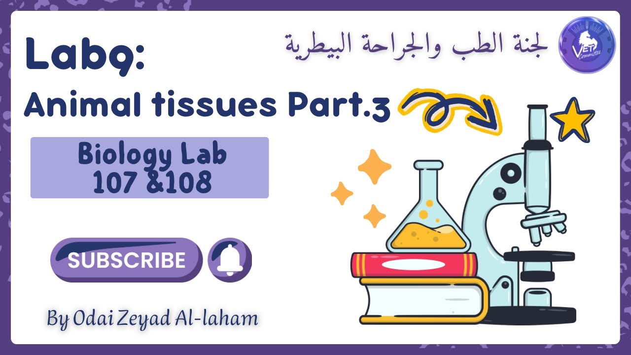 Biology lab - lab9 || Animal tissues Part.3 - لجنة الطب البيطري - YouTube
