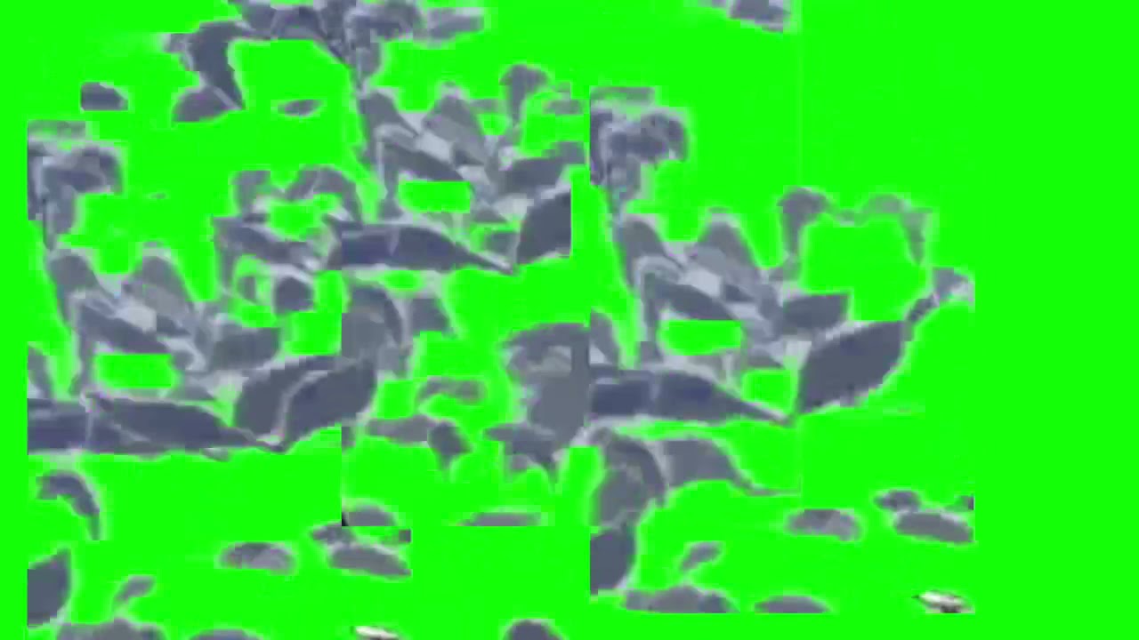 Angry Eyebrows Green Screen - YouTube