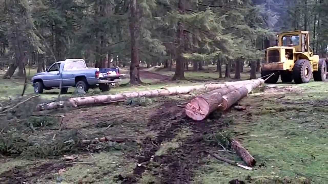 Wheel Loader Logging - YouTube