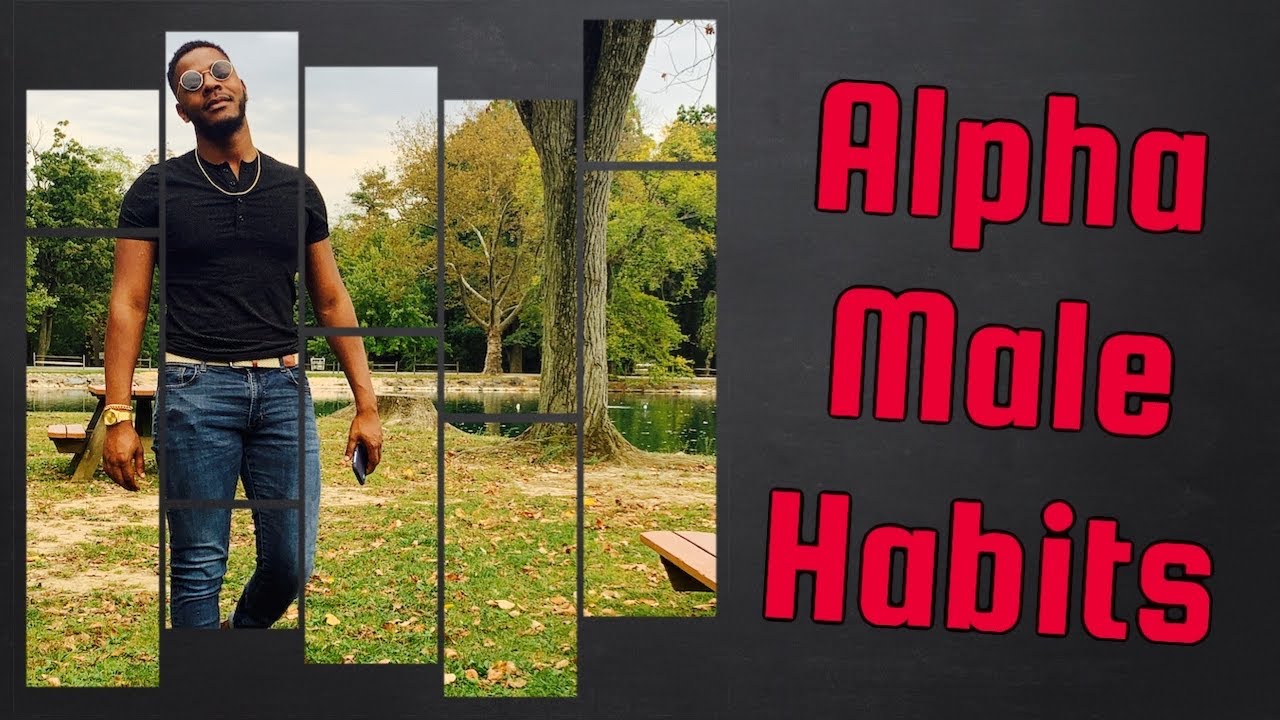 5 Alpha Male Habits | Red Pill | - YouTube