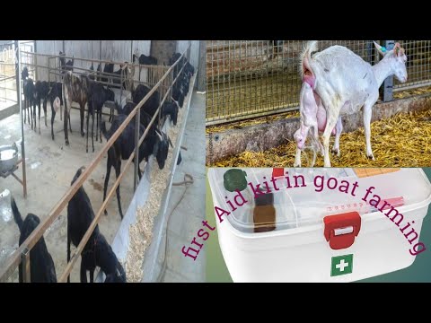 First Aid kit for goat 🐐 farming | first aid kit at goat farm | first ...