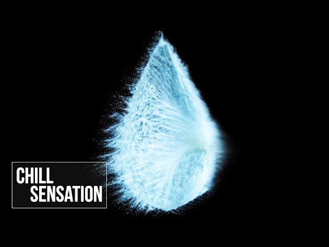 Lev - Always the Rain